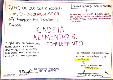 Mapa Mental Sobre Cadeia Alimentar Maps Study