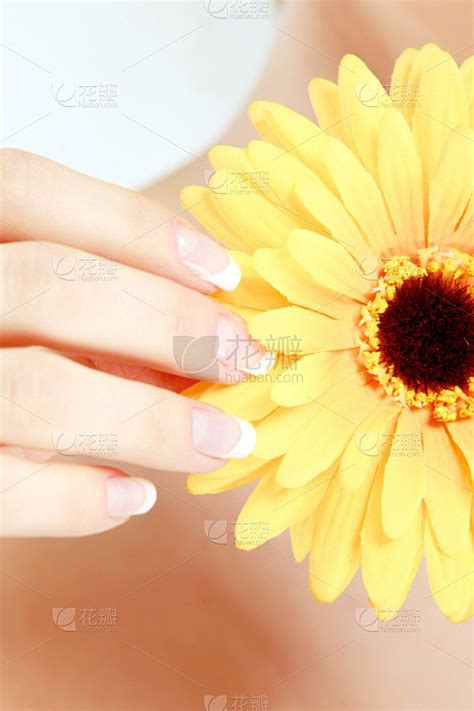 黄色 白色背景 分离着色 青年女人 垂直画幅 美 女人 女性特质 美人