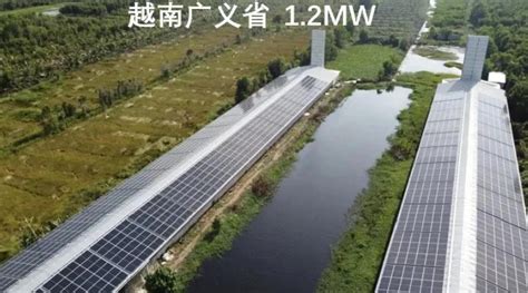 晶澳、晶科、隆基联合发布182组件产品白皮书 北极星太阳能光伏网、e公司 太阳能发电网