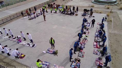 ГАМШГИЙН АЮУЛЫН ТУХАЙ ЗАРЛАН МЭДЭЭЛЛИЙН ДОХИОГООР АЖИЛЛАХ ДАДЛАГА СУРГУУЛИЛТ БОЛЛОО