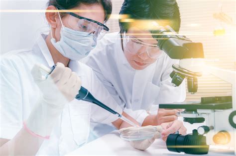 药物研发过程是什么样的所如何研制的 拼客号