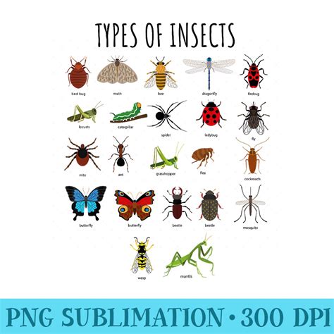 Types Of Insects T Bug Identification Science High Resolut Inspire Uplift