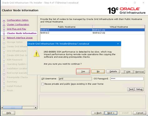 oracle 19c 集群rac安装（基于nfs共享存储） oracle 19c rac安装 csdn博客