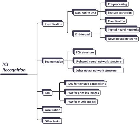 Figure 2 From Deep Learning For Iris Recognition A Review Semantic Scholar