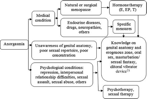 Acog Algorithm For Diagnosing Female Sexual Dysfunction Store