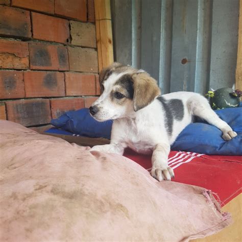 ОП Екоравновесие Столична община