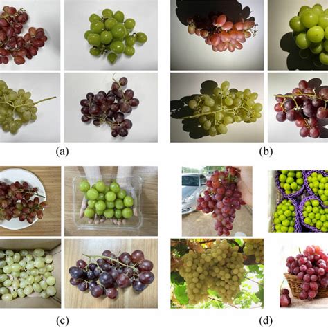 Pdf A Cross Domain Fruit Classification Method Based On Lightweight