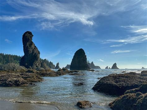 Point Of Arches Was Best Coastline Scenery On Shi Shi Beach