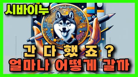 코인 ⚠️ 시바이누 ⚠️ 다음 목표 1300원 스테이블 코인 프로젝트 드디어 공개합니다 Youtube