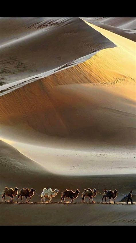 Жин цохих өвчин гэж юу вэ Мэргэжлийн Gendendorj Mashbat Facebook