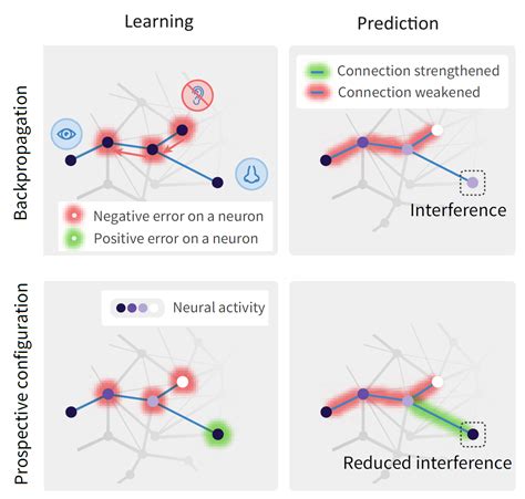 Inferring Neural Activity Before Plasticity As A Foundation For Learning Beyond Backpropagation