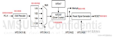 看门狗定时器 Csdn博客