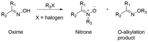 Scheme 7 Synthesis Of Nitrones From Oxime Download Scientific Diagram