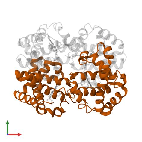 Pdb 3hrw Gallery ‹ Protein Data Bank In Europe Pdbe ‹ Embl Ebi