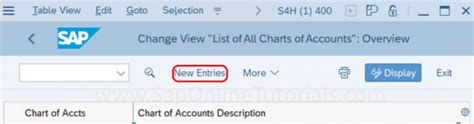 How To Define Chart Of Accounts In SAP Hana SAP Tutorials