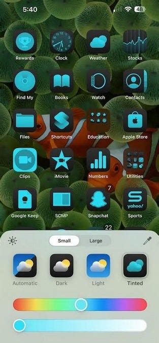 How To Customize Your Home Screen Icons With The IOS 18 Beta Installed PhoneArena