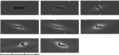 Evolution Of Nutrient Concentration And Position Of Diatom Chains In An Download Scientific