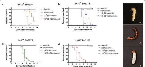 Survival Of Axenic And Nonaxenic Monochamus Alternatus Larvae N 25
