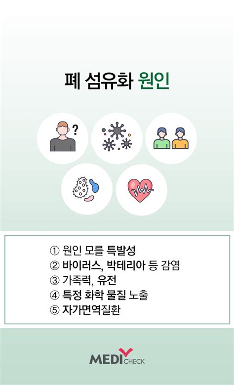 폐 섬유화 진단할 수 있는 폐 Ct 검사 네이버 포스트