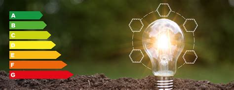 전원 플러그와 함께 전구를 들고 손으로 나무 지속 가능한 개발을 가진 재생 에너지 아이콘을 보여줍니다 0명에 대한 스톡 사진 및 기타 이미지 Istock