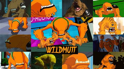 All Wildmutt Transformations In All Ben 10 Series Youtube