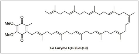 Solid Phase Extraction And Analysis Of Coenzyme Q10 From Plasma Using