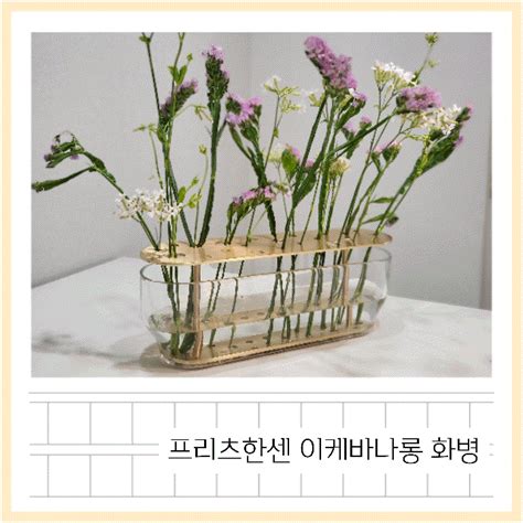 집안분위기살려줄 인테리어소품 프리츠한센 이케바나 롱 화병 3개월쓰고난 후기신세계닷컴구입가격 네이버 블로그