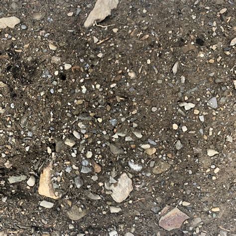 The Ground Is Covered With Rocks And Gravel As If It Were Dirt Or Rock