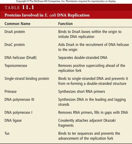 Genetics Module 3 Exam Flashcards Quizlet
