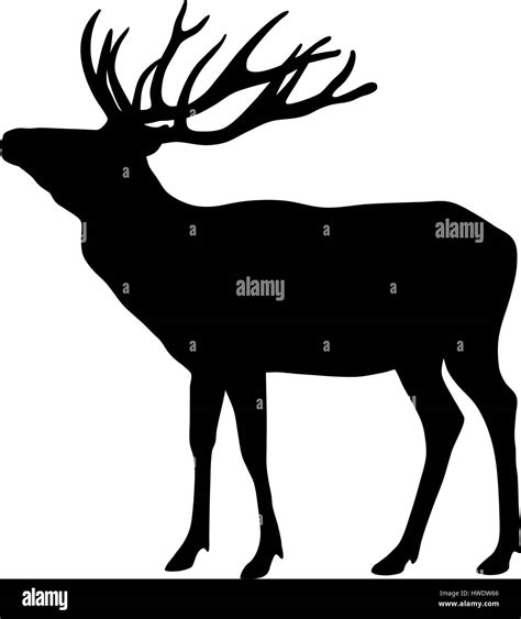 Hirsch Vektor Silhouette Vektor Schwarze Silhouette Hirsch Im Wald