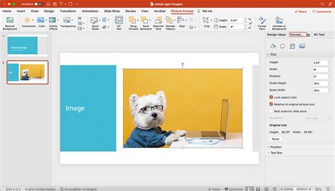 Minute Tips Resize Images In PowerPoint The Right Way Leslie Fredericks