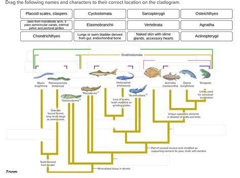Solved Drag The Following Names And Characters To Their Correct
