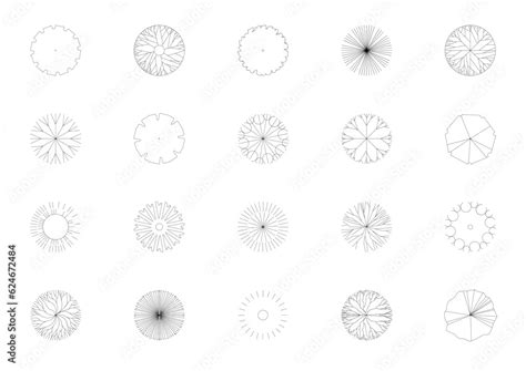 Tree Plan Plant Landscape Architecture Nature Park Garden Collection