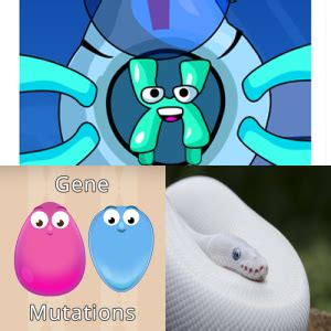 Babe Lesson Gene Mutations MS LS B Free Games And Assessments