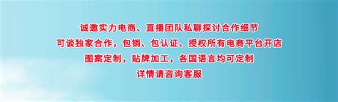跨境新蓝牙双模无线游戏鼠标充电静音电脑笔记本无线办公鼠标 阿里巴巴