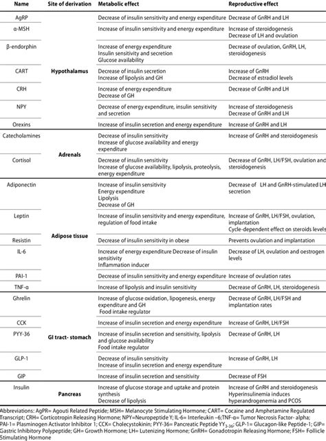 Neurotransmitters And Their Functions Chart