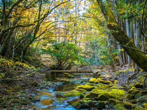 10 Of The Most Beautiful Places To Visit In Japan — Daily Passport