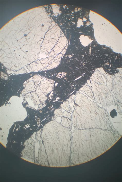 Thin Section Of Hawaiian Basalt Rgeology