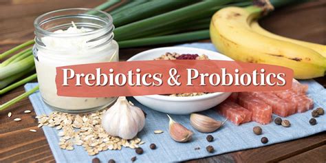 What Are Prebiotics And Probiotics For Gut Health Skout Organic