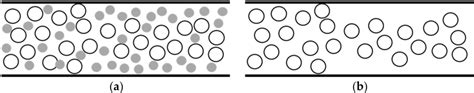 Figure 2 From Modelling Shear Induced Diffusion Based Particle