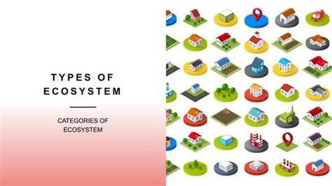 Ecosystem Concept Of Eco Systemstructure And Function Of Ecosystempptx