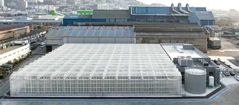 철강공장과 스마트팜이 처음 만났다폐열 활용한 유리온실 매일경제