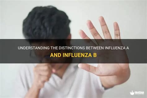 Understanding The Distinctions Between Influenza A And Influenza B