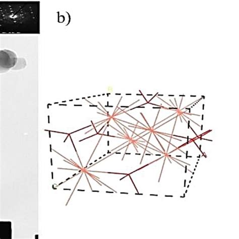 Cuo Nanoparticle Image A Observed By Tem The Average Size Of The