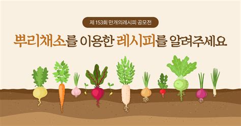 뿌리채소를 이용한 레시피를 알려주세요