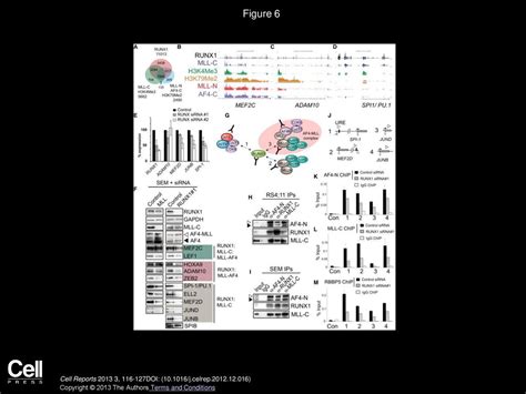 Volume 3 Issue 1 Pages January 2013 Ppt Download