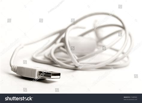 Usb Cable Connect Camera Computer Stock Photo Shutterstock