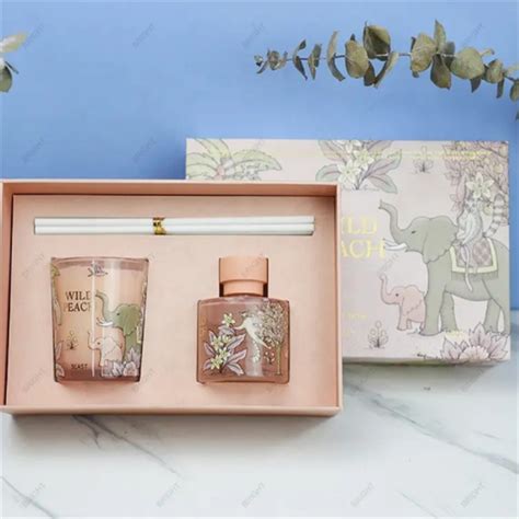 Glass Empty Bottle Set T Stick Incense Diffuser Luxury Custom Reed Diffuser Empty Sets With