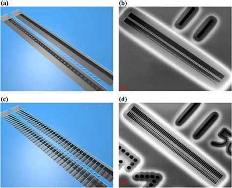 A C Schematic Illustrations And B D Scanning Electron