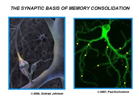 Autoencoders Unsupervised Learning And Deep Architectures P Baldi